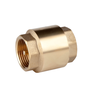 Water Spring Check Valve - Premium Residential Valves and Fittings Factory