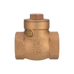 Spring Check Valve Vs. Swing Check Valve: What is the Difference ...