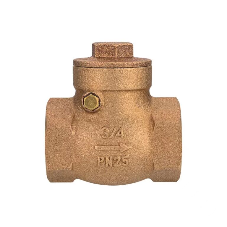 Spring Check Valve Vs. Swing Check Valve: What is the Difference ...