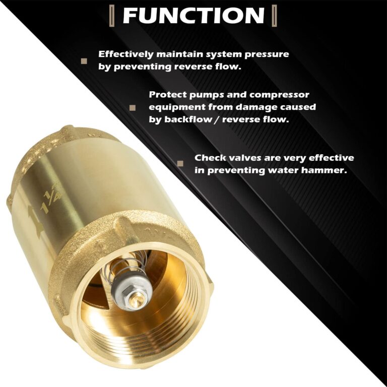 Spring Check Valve Vs. Swing Check Valve: What is the Difference ...