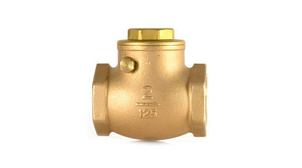 A Guide to Check Valve Failure and Solution - Premium Residential ...