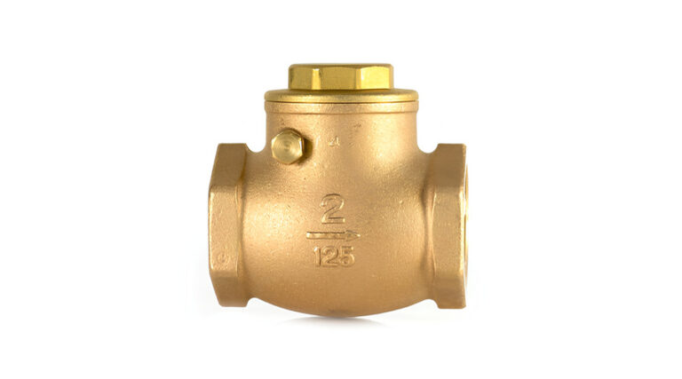 A Guide to Check Valve Failure and Solution - Premium Residential ...