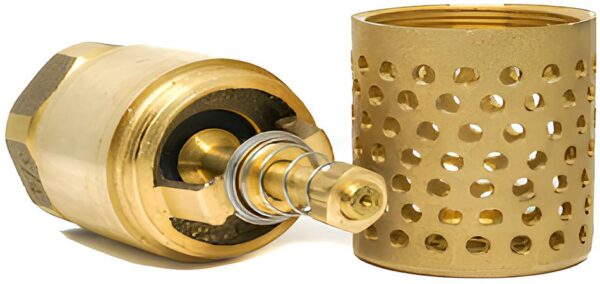 A Comprehensive Guide About Well Pump Check Valves - Installation and ...